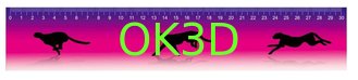 China OK3D FACTORY manufacture high quality custom 3D Stationery lenticular ruler with 3d flip LOGO printing for promotion supplier