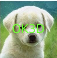 China OK3D Morphing lenticular effect designed by PSDTO3D101 software supplier